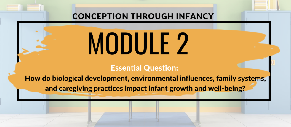 Lifespan Development - Module 2: Conception through Infancy | OER Commons