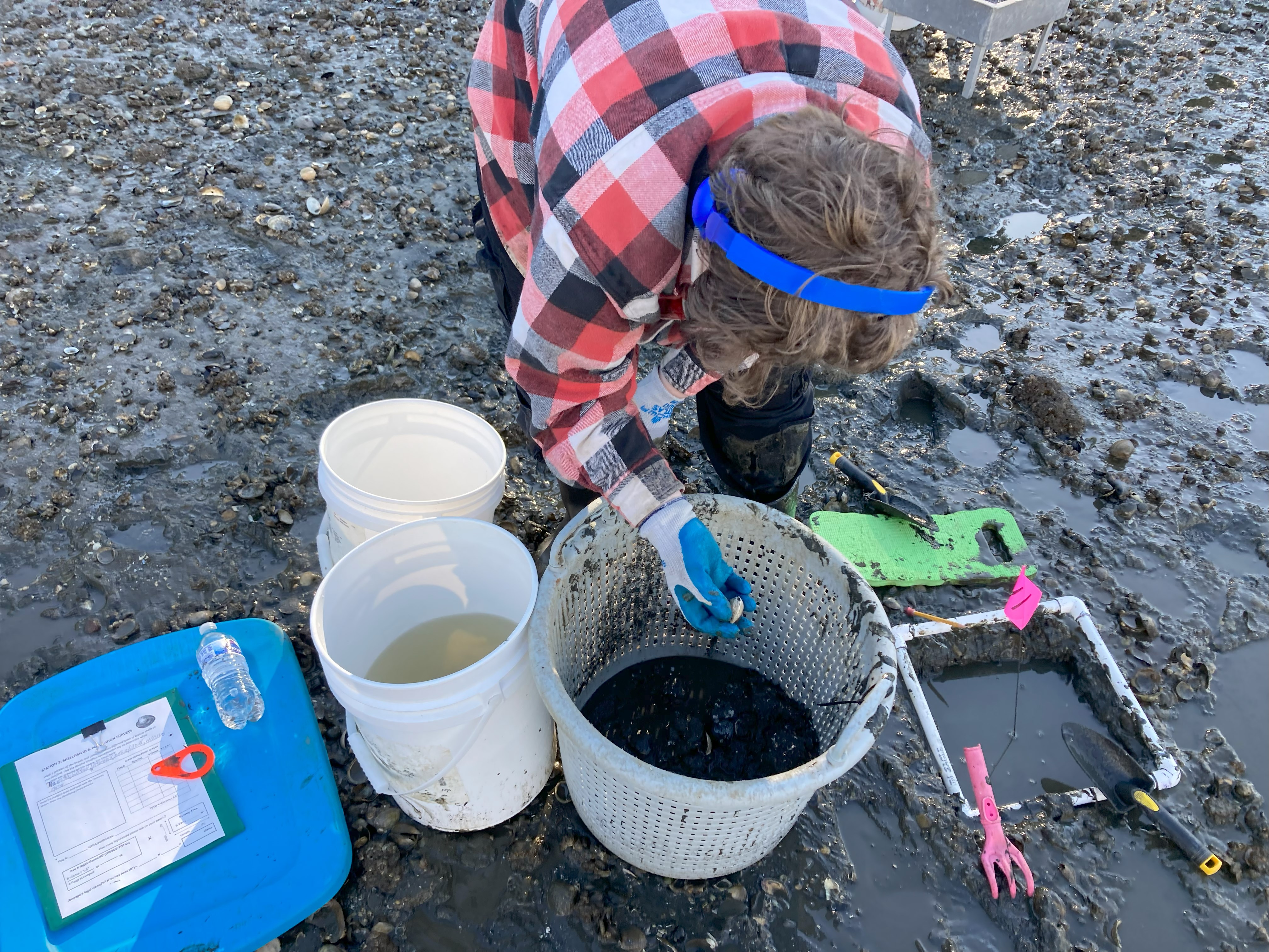 Shellfish Aquaculture: Tides, Shellfish Identification & Population ...