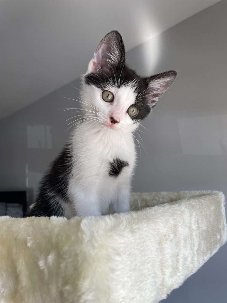 Case study: designing a UKRN train-the-trainer session | OER Commons