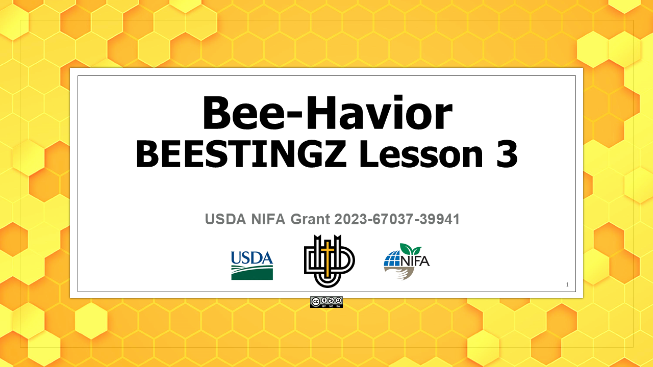 Lesson 3 Bee-Havior (BEESTINGZ) | OER Commons