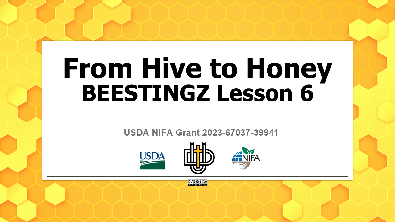 Lesson 6 From Hive to Honey (BEESTINGZ) | OER Commons