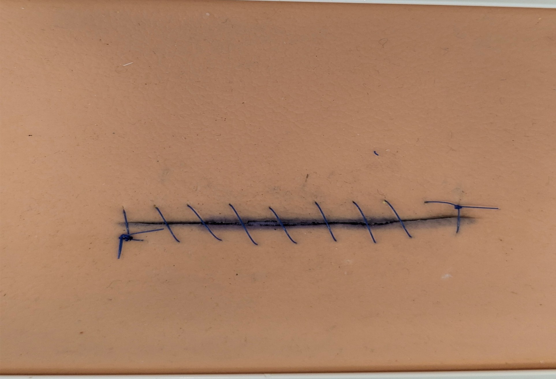 Suture Patterns (Veterinary) | OER Commons