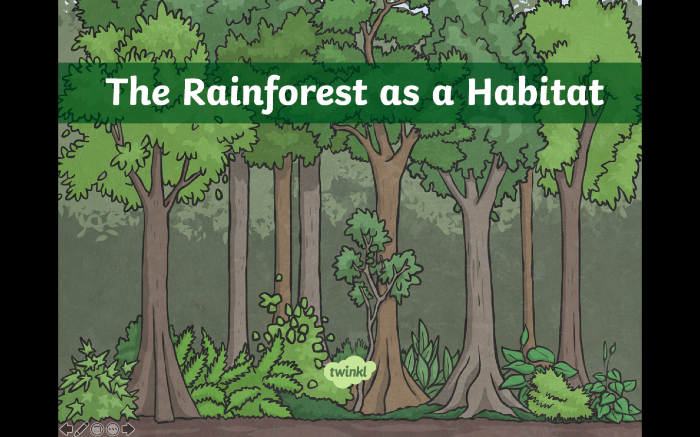 Rainforest as Habitats PowerPoint | OER Commons