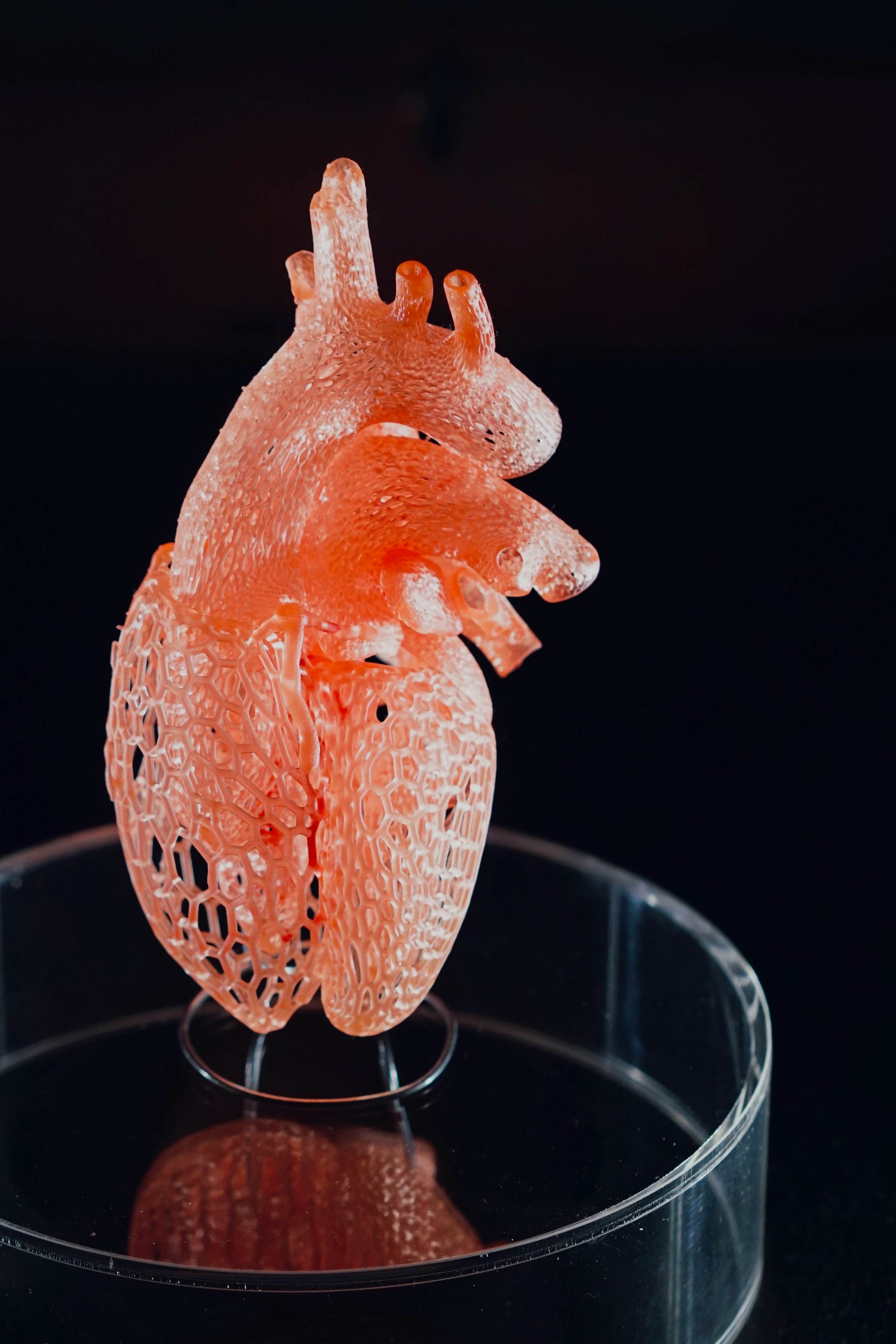 Simulated Case Studies in Cardiovascular Physiology | OER Commons