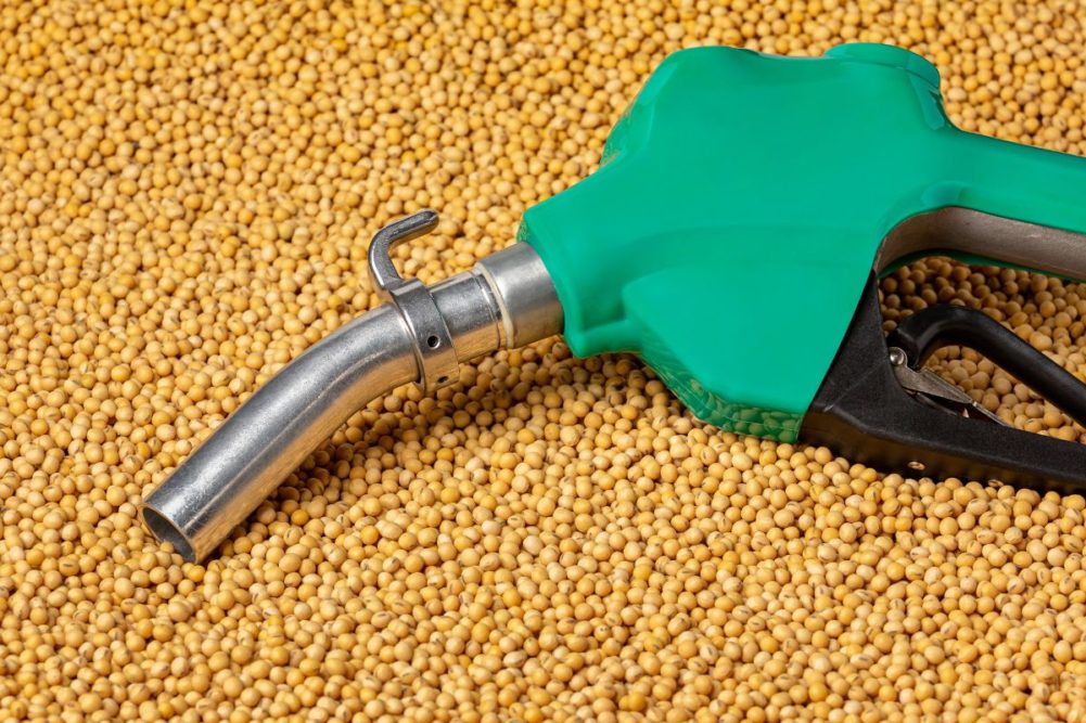 "Growing" Renewable Biofuel | OER Commons