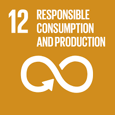 Sustainable Development Goal: Responsible Consumption and Production ...