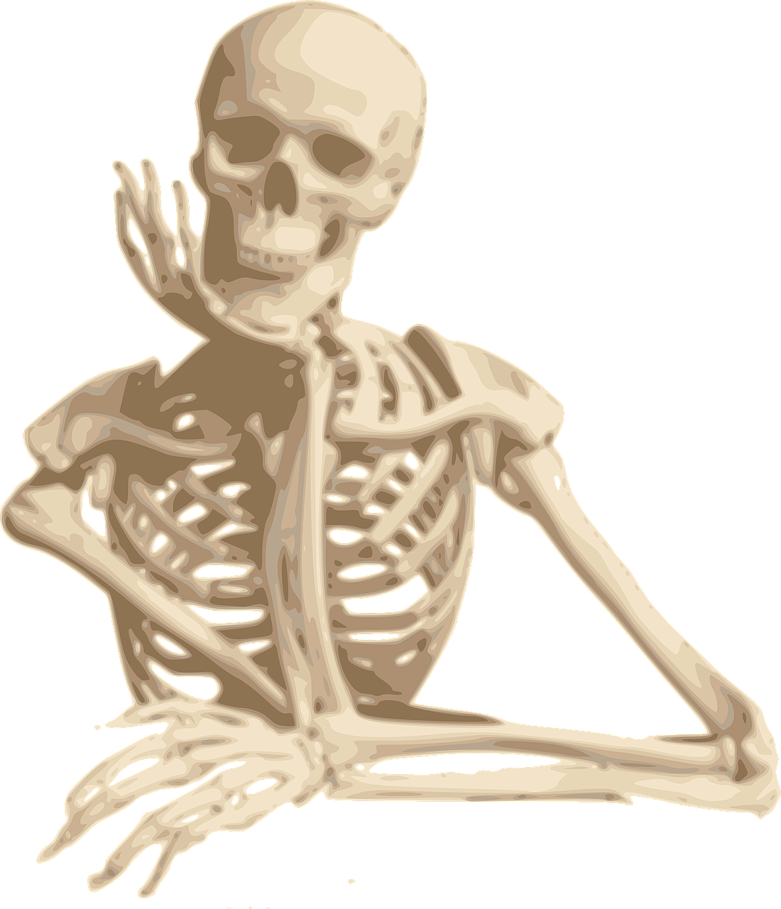 Skeletal System OER Commons