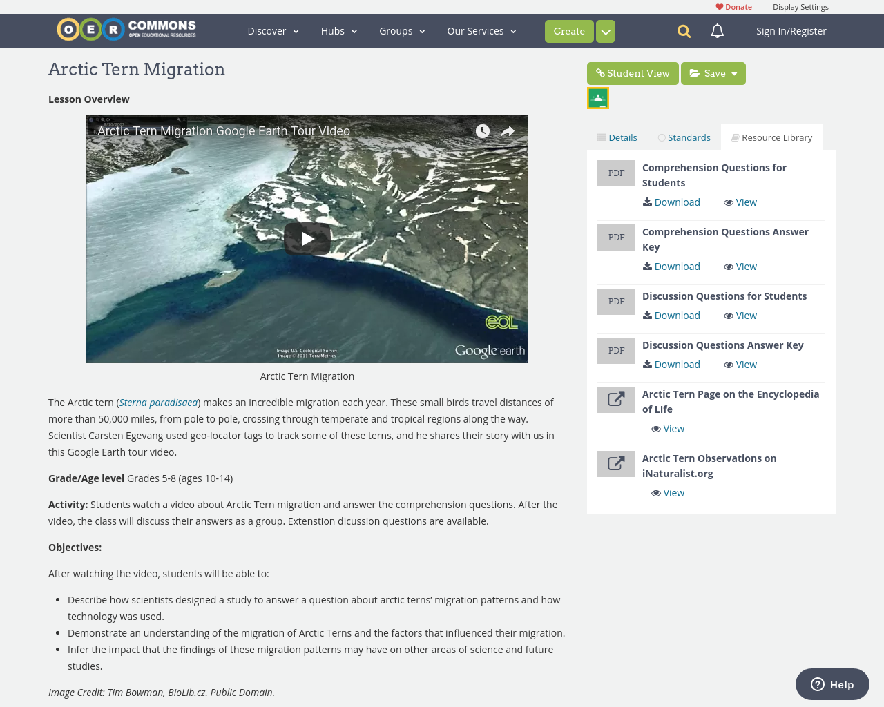 Arctic Tern Migration | OER Commons