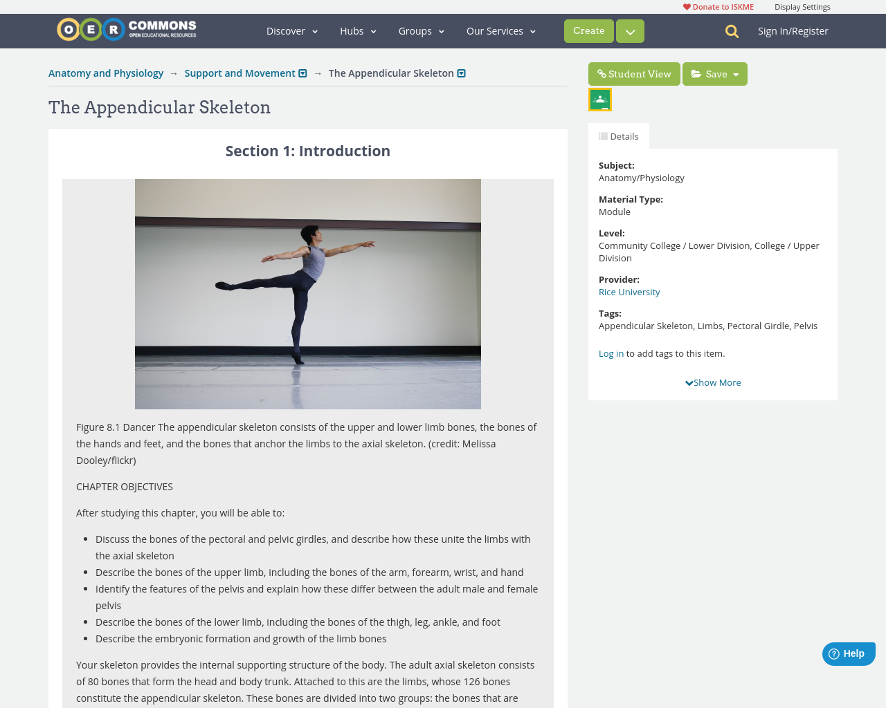 Anatomy and Physiology, Support and Movement, The Appendicular Skeleton ...