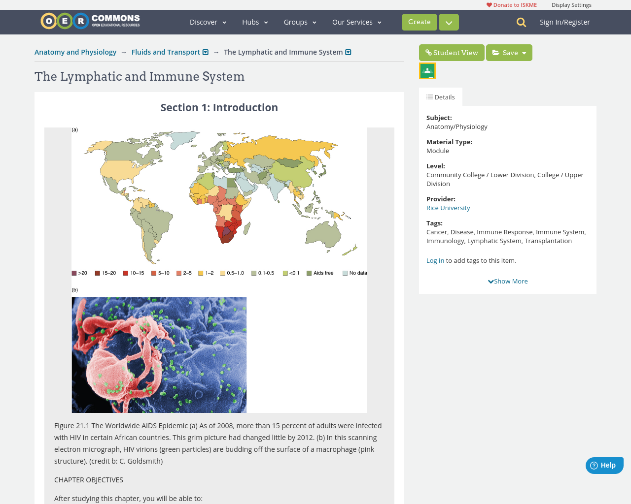 Anatomy and Physiology, Fluids and Transport, The Lymphatic and Immune ...