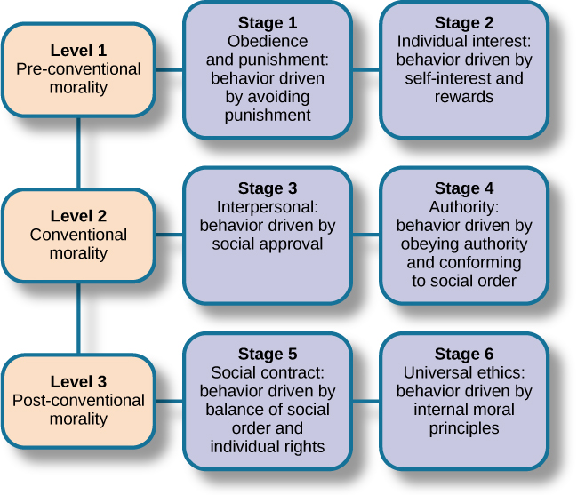 Chapter 2 Lifespan Theories Human Behavior And The Social Environment I