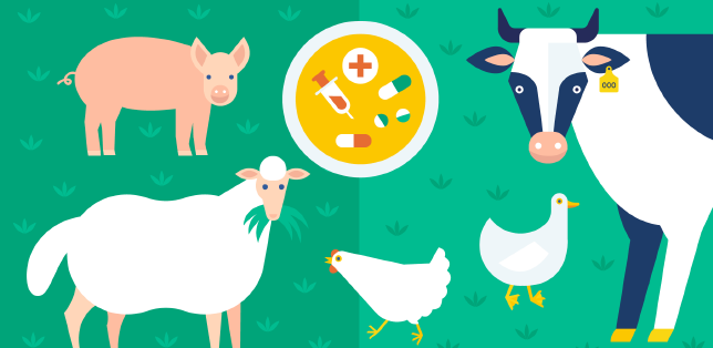 Animal food processing | OER Commons