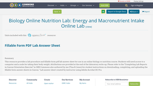 Biology Online Nutrition Lab: Energy and Macronutrient Intake Online ...
