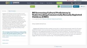 B13 Increasing Cultural Proficiency in Understanding Commercially ...