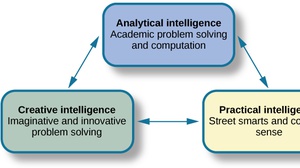 Psychology, Thinking and Intelligence, What Are Intelligence and ...