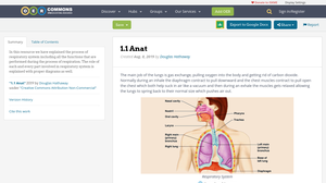 1.1 Anat | OER Commons