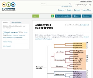 Eukaryotic supergroups | OER Commons