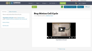 Stop Motion Cell Cycle | OER Commons