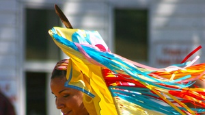 Native American Mascot Debate Inquiry Design Model (IDM) | OER Commons