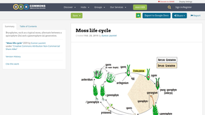 Moss life cycle | OER Commons