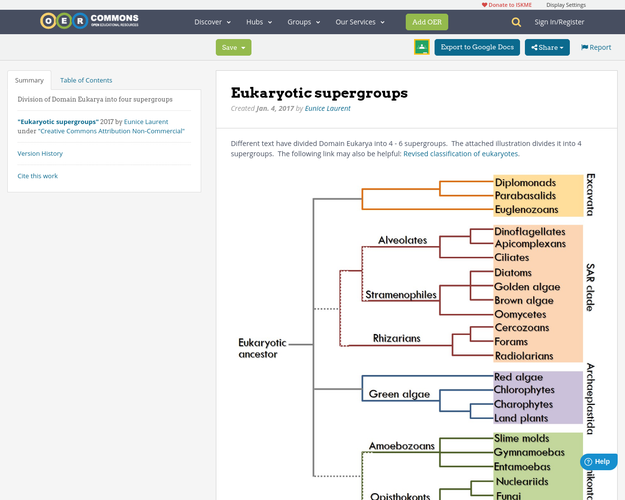 Eukaryotic supergroups | OER Commons