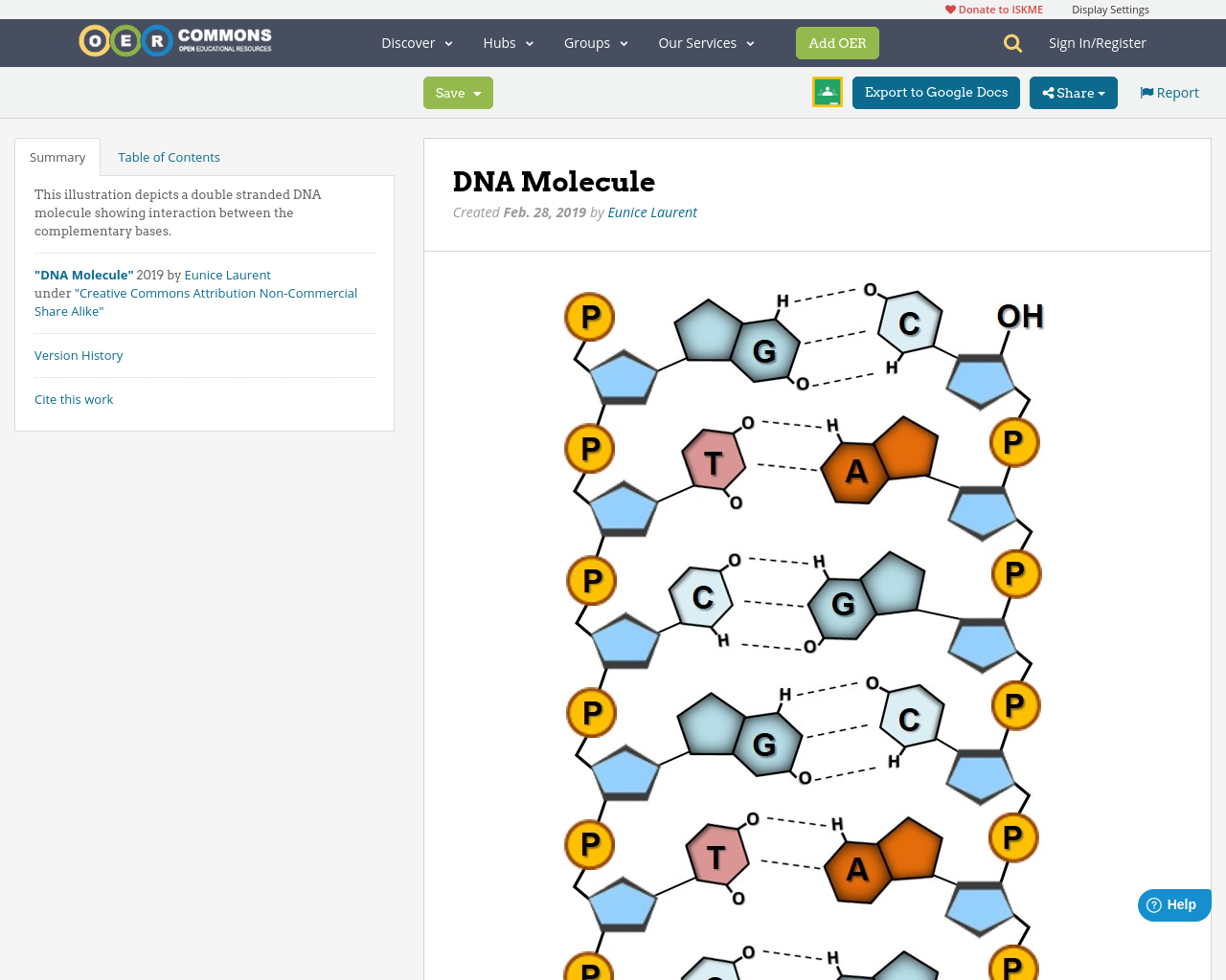 DNA Molecule | OER Commons