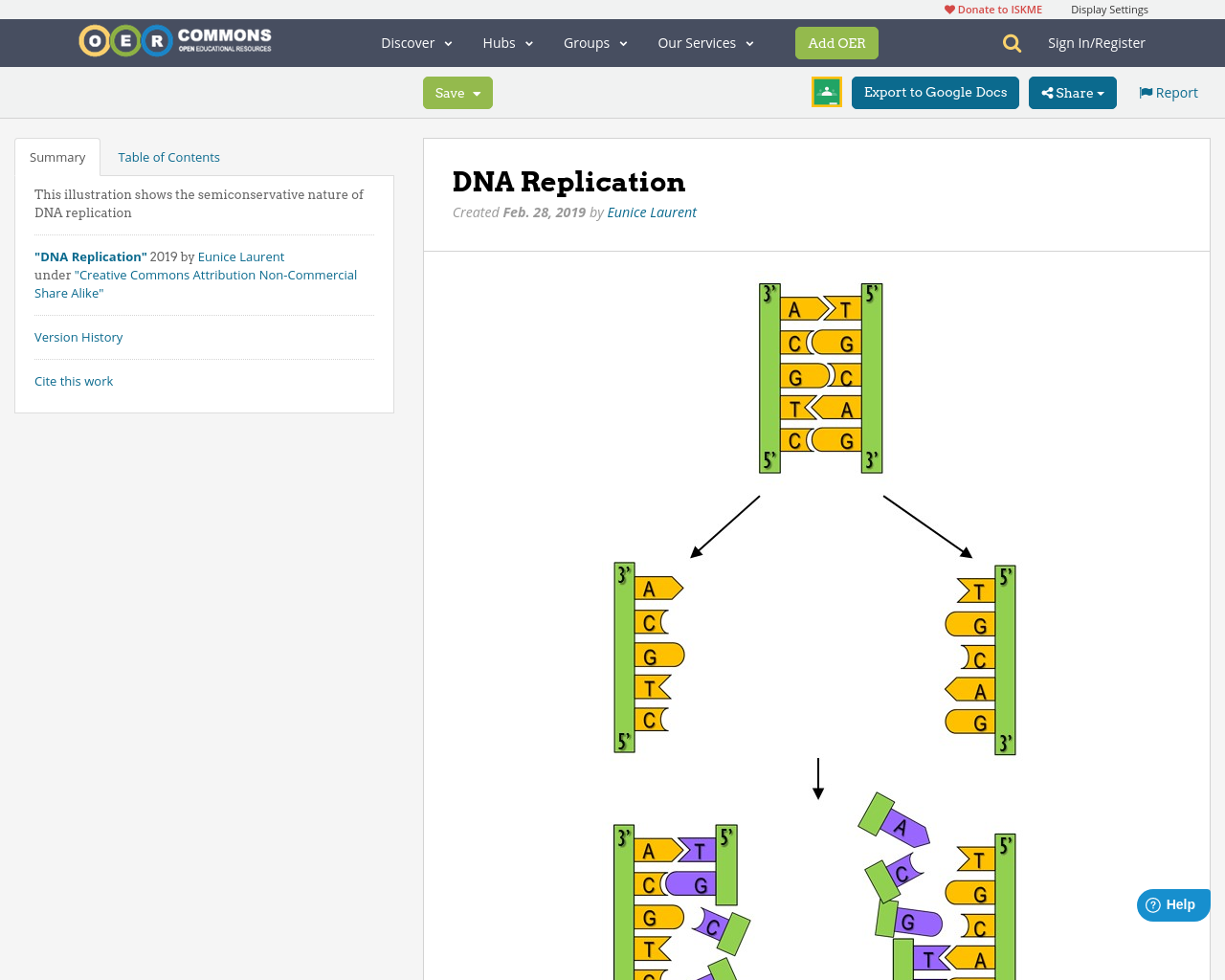 DNA Replication | OER Commons