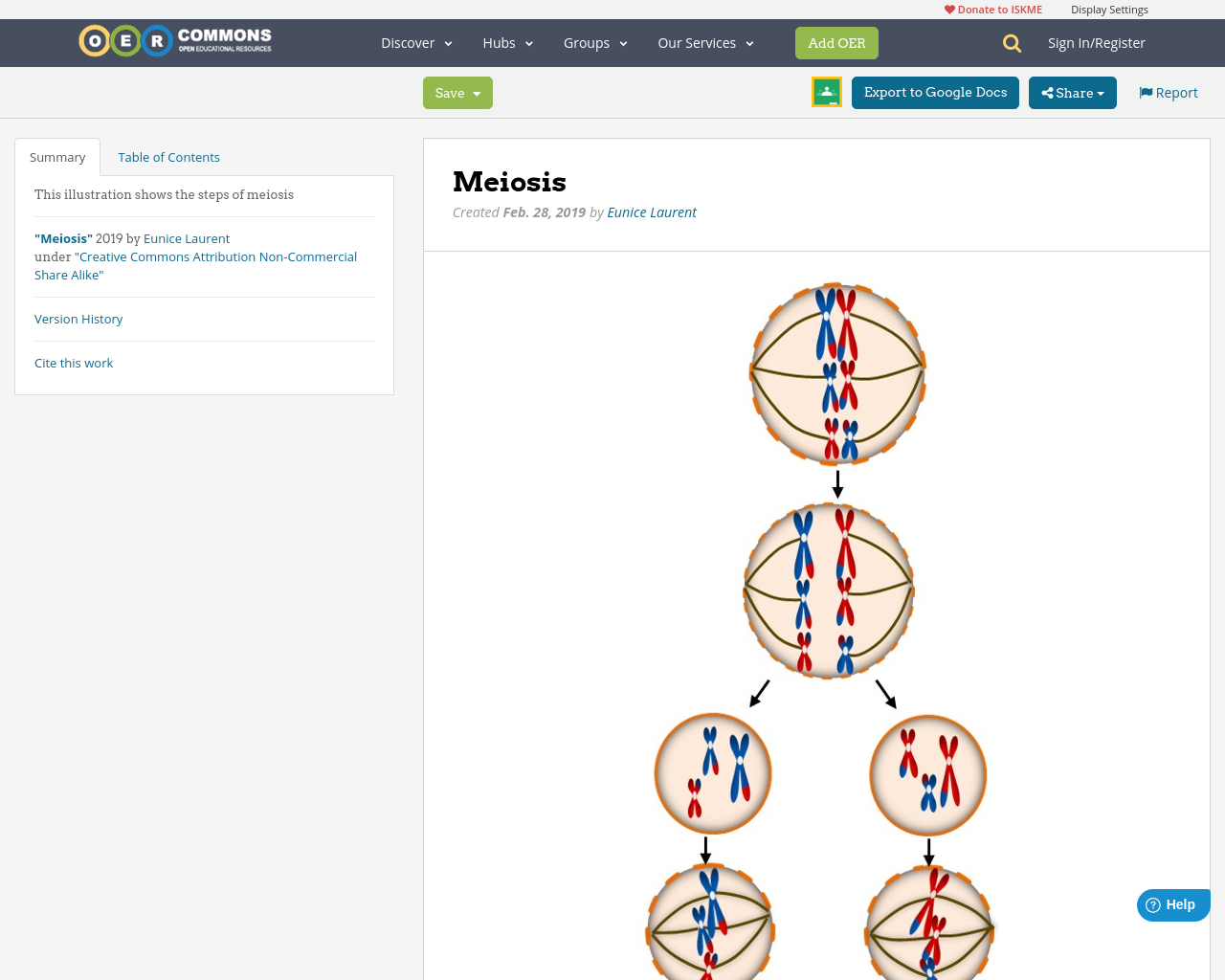Meiosis | OER Commons