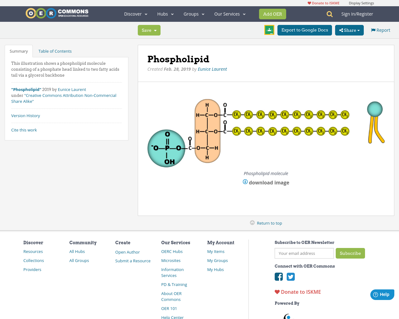 Phospholipid | OER Commons