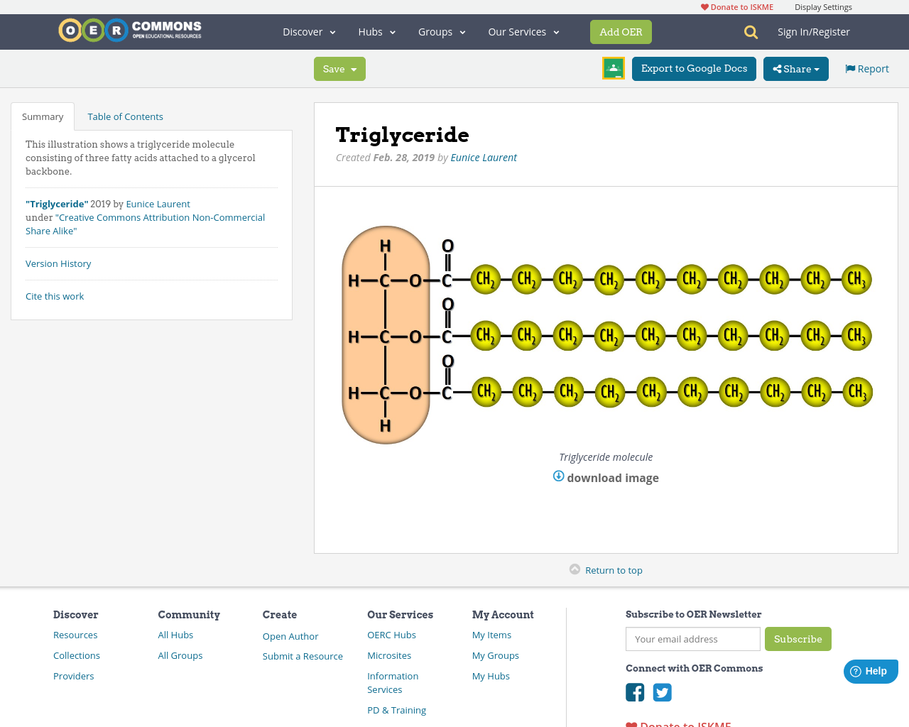 Triglyceride | OER Commons